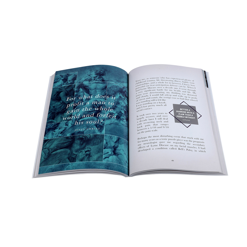 Illustrated softcover book full color printing