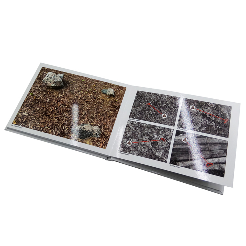 Coated art paper hardcover photo book printing