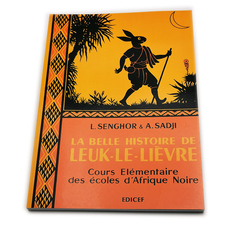 Paperback Custom A4 A5 Softcover Book Printing