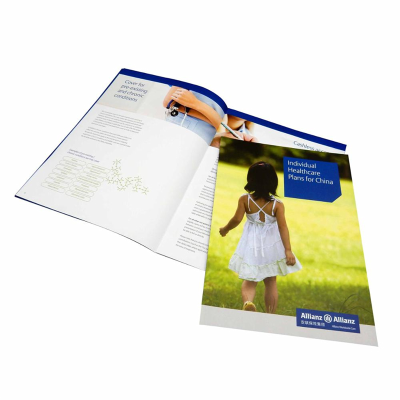 Custom cheap offset booklet printing service
