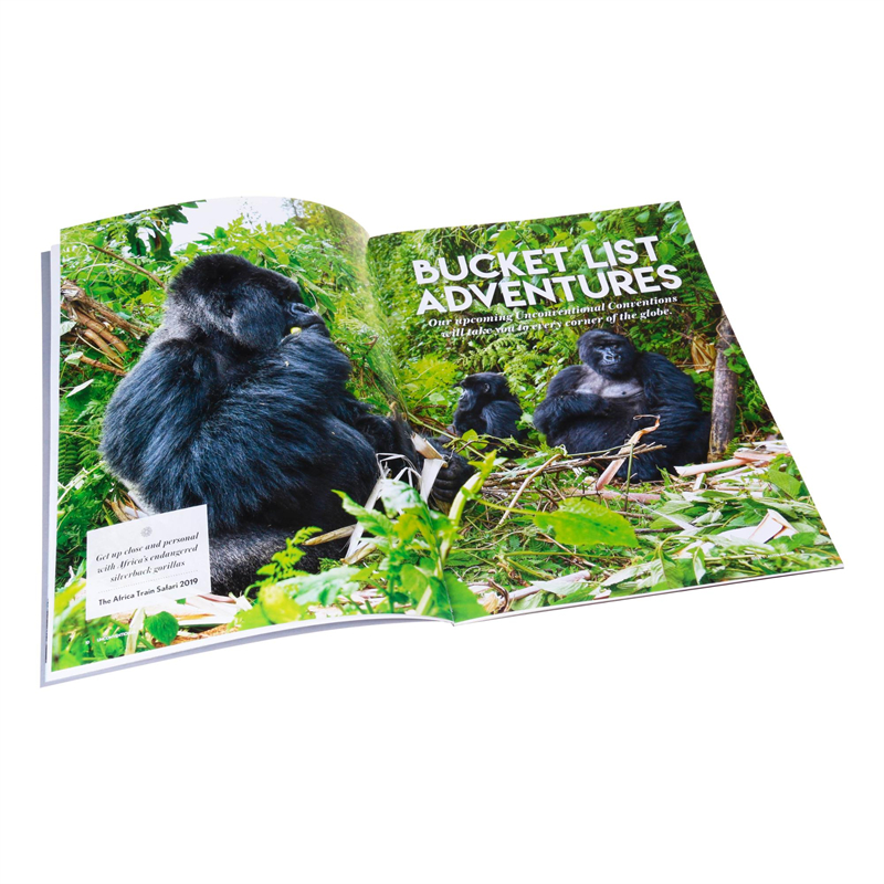 Promotion coloring wild animal photo book printing